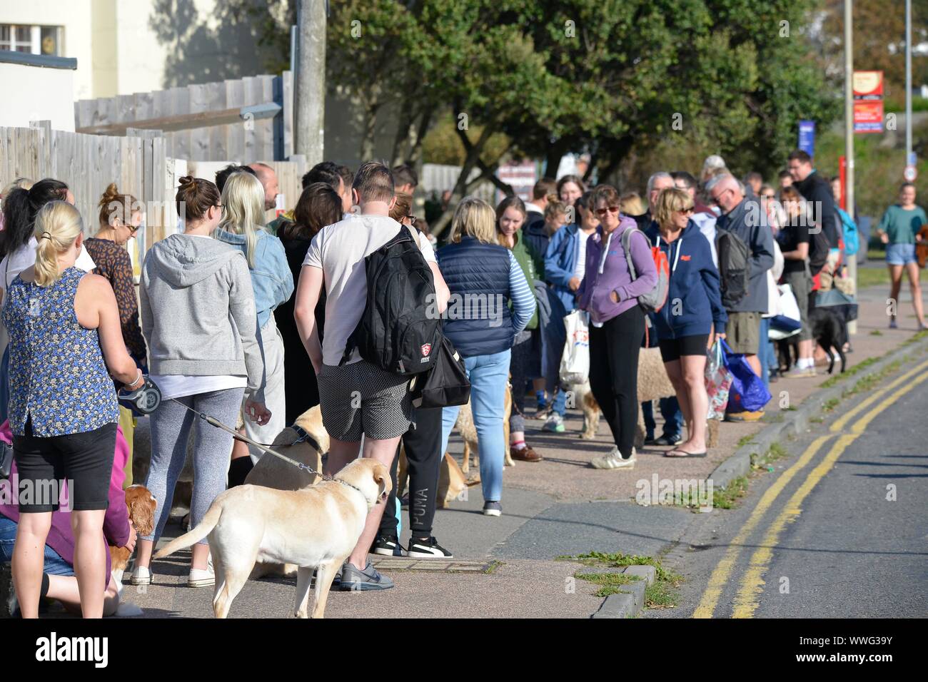 Annual dog swim at Saltdean Lido, Brighton 14/09/2019 An end of season ...