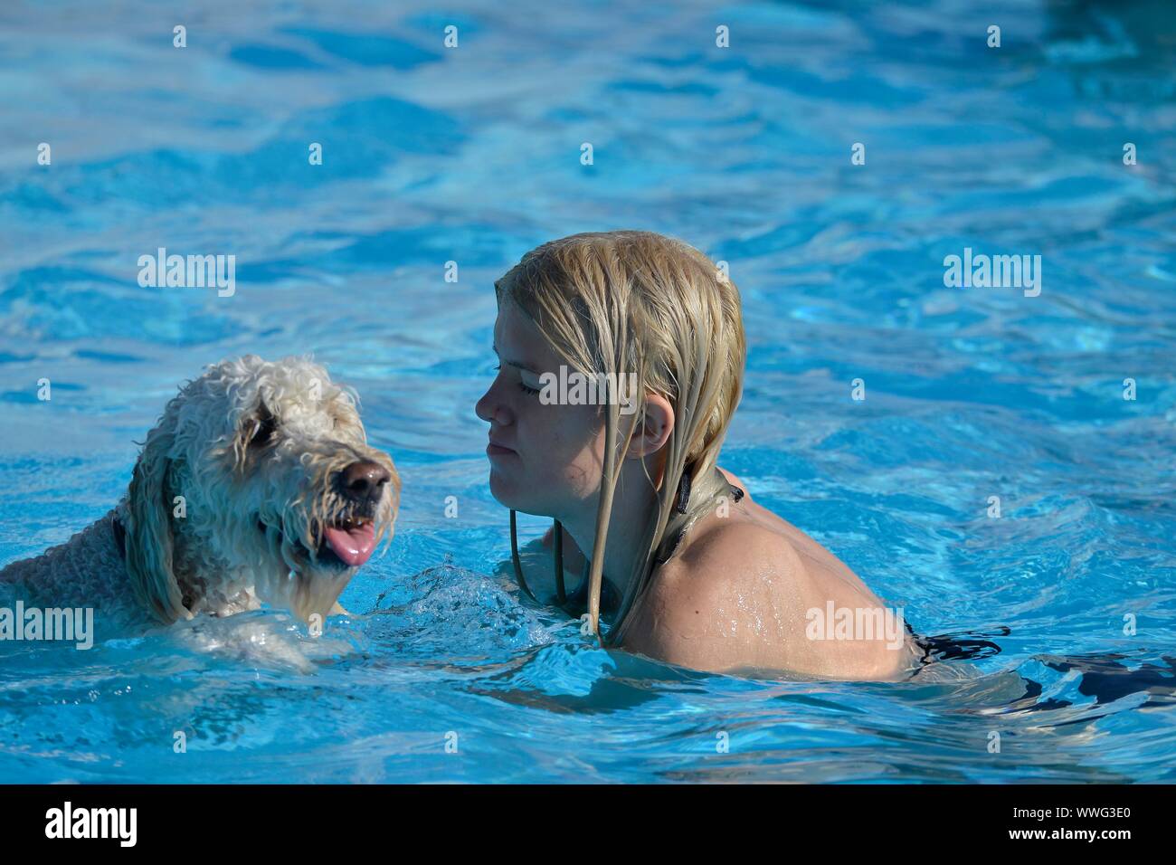 Annual dog swim at Saltdean Lido, Brighton 14/09/2019 An end of season ...