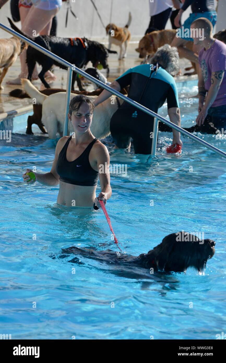 Annual dog swim at Saltdean Lido, Brighton 14/09/2019 An end of season ...