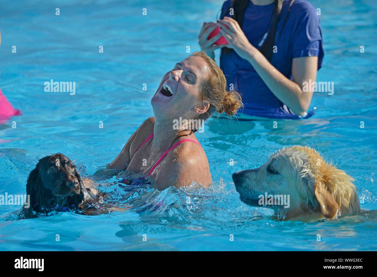 Annual dog swim at Saltdean Lido, Brighton 14/09/2019 An end of season ...