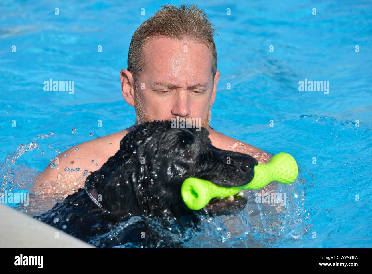 Annual dog swim at Saltdean Lido, Brighton 14/09/2019 An end of season ...