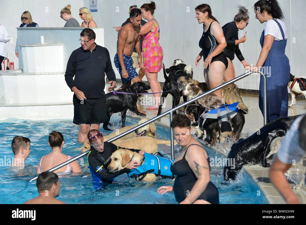 Annual dog swim at Saltdean Lido, Brighton 14/09/2019 An end of season ...