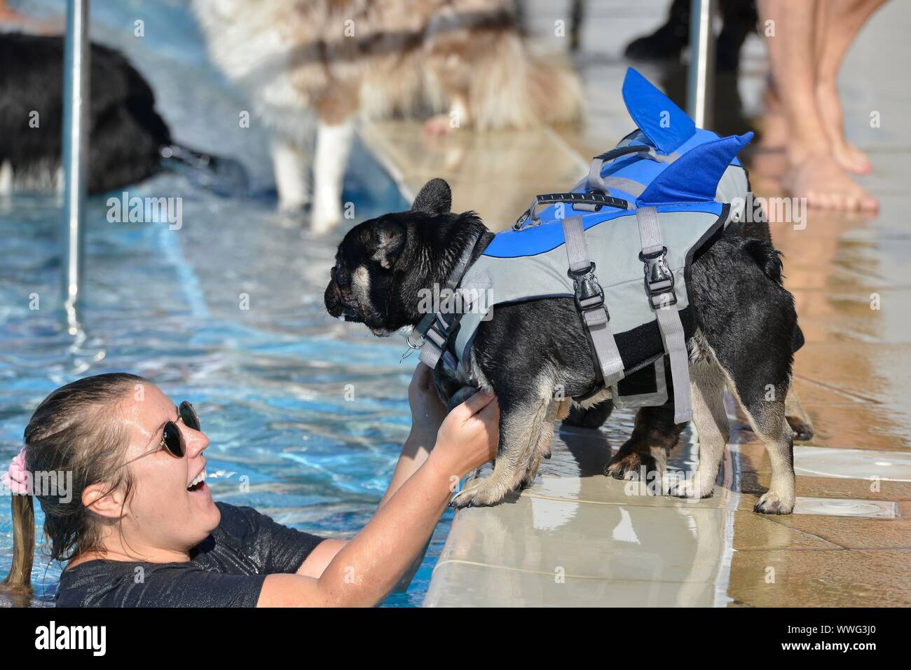 Annual dog swim at Saltdean Lido, Brighton 14/09/2019 An end of season ...