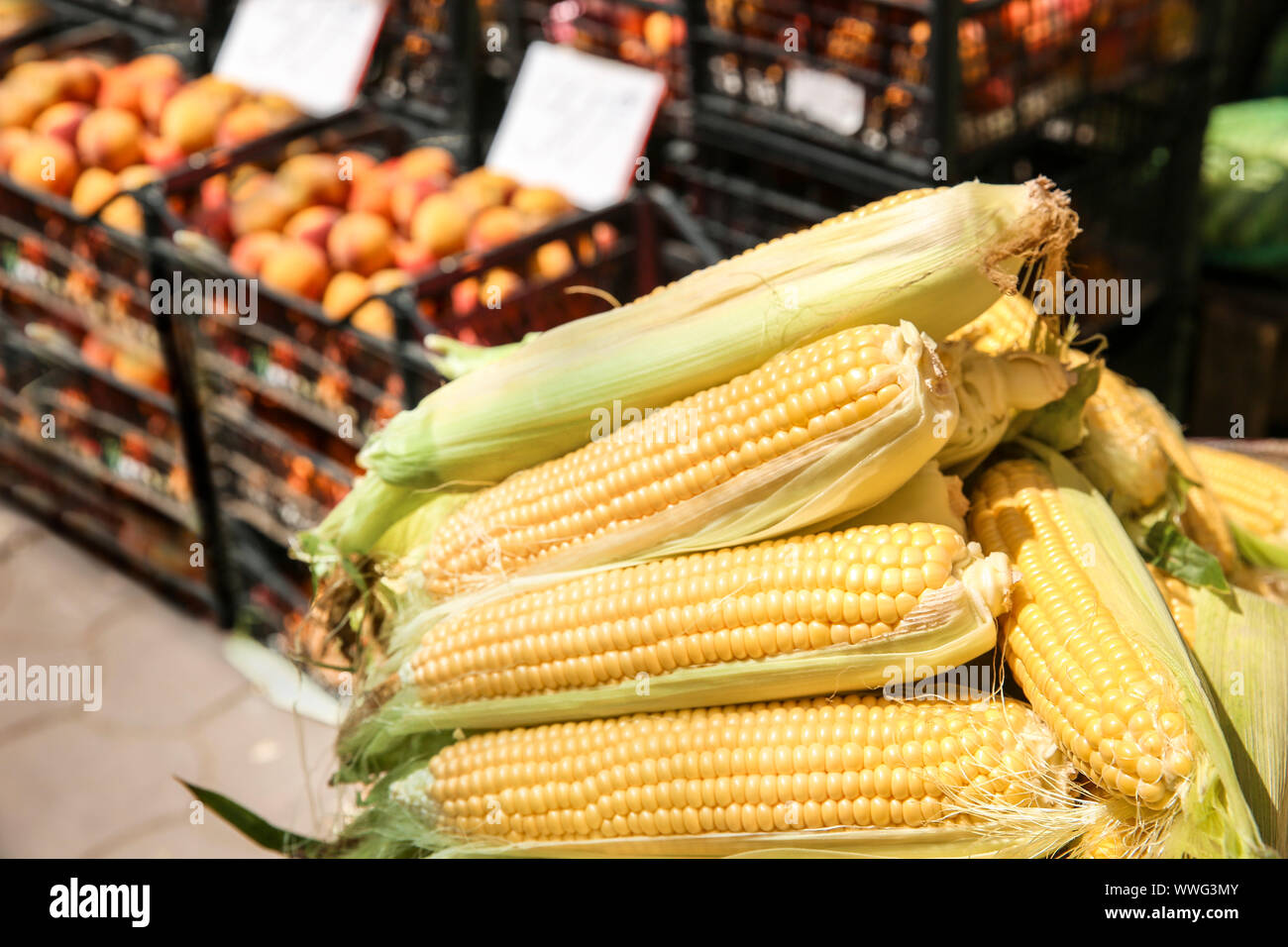 Corn showcase hi-res stock photography and images - Alamy