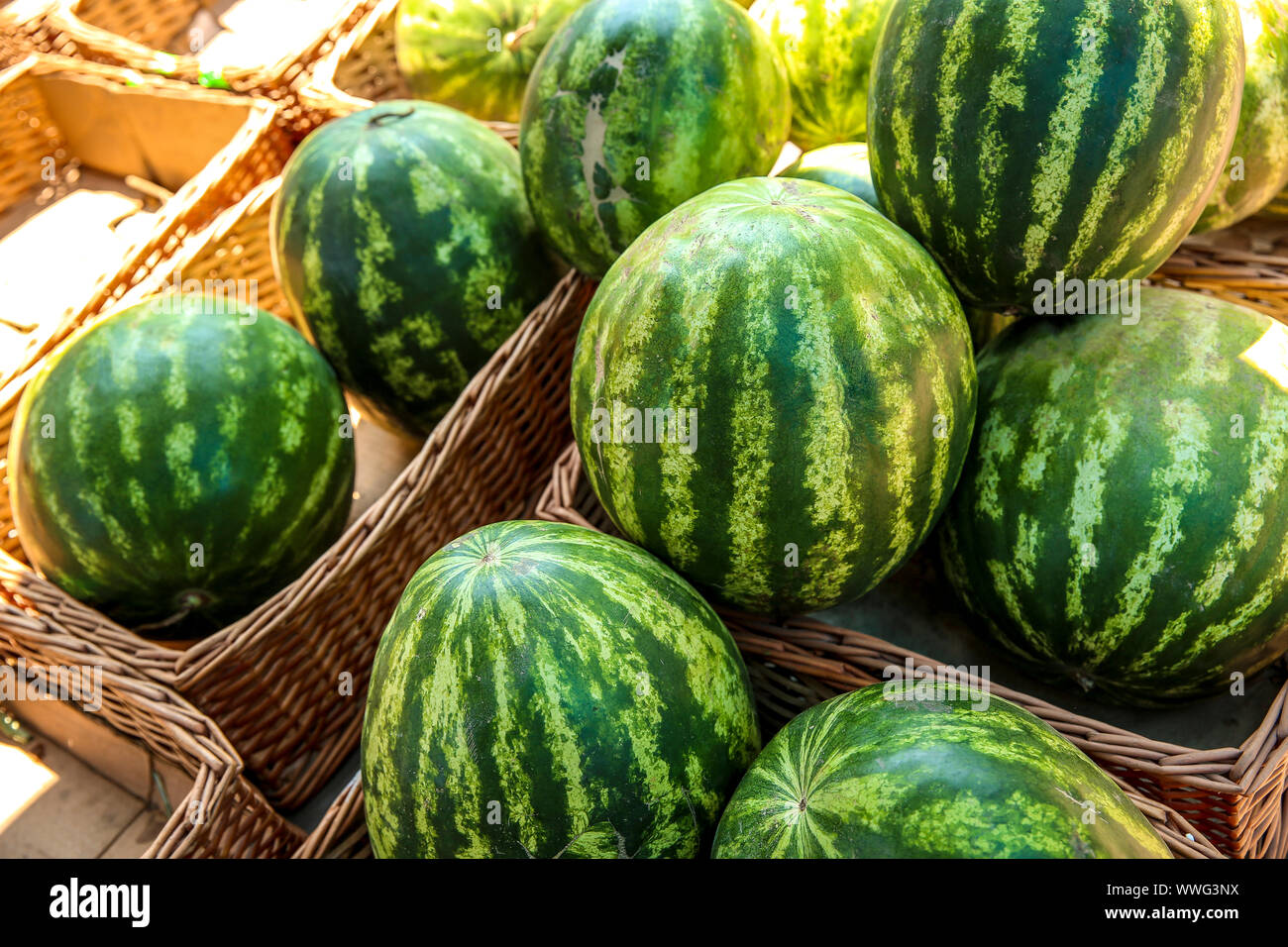 Fresh watermelons on counter at market Stock Photo - Alamy