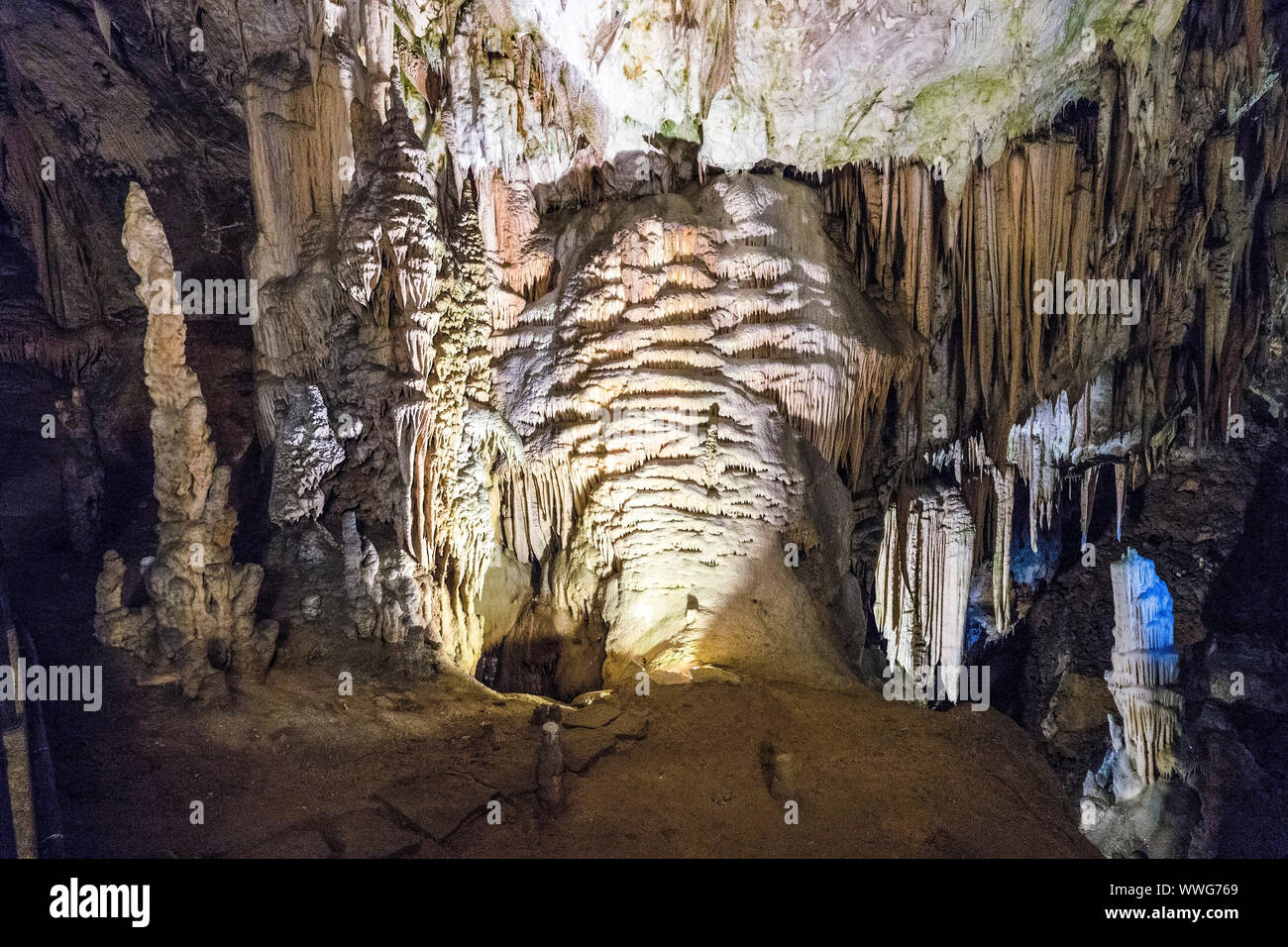 Olm hi-res stock photography and images - Alamy