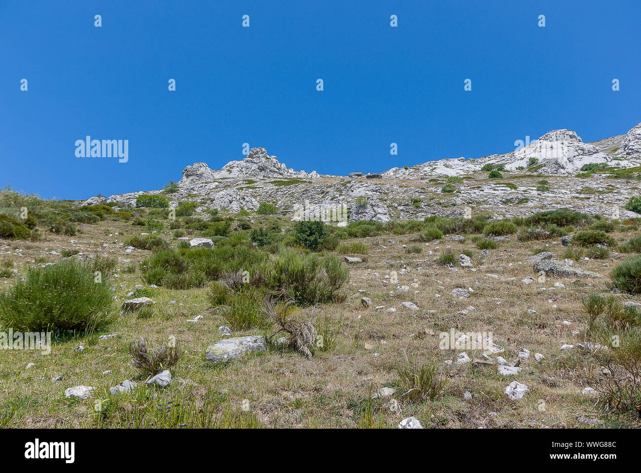 Natural river formation hi-res stock photography and images - Alamy
