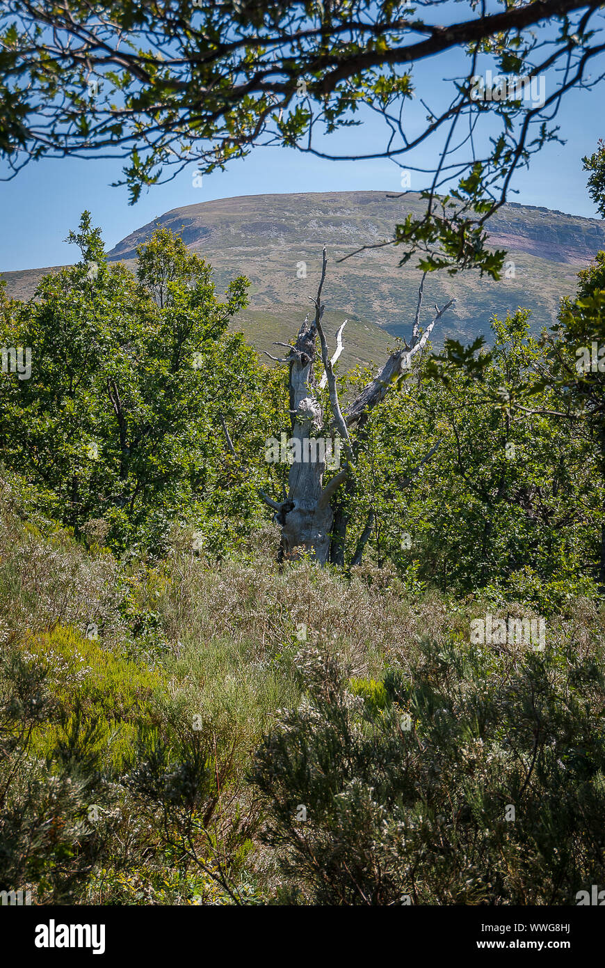 National park fonts carrionas hi-res stock photography and images - Alamy