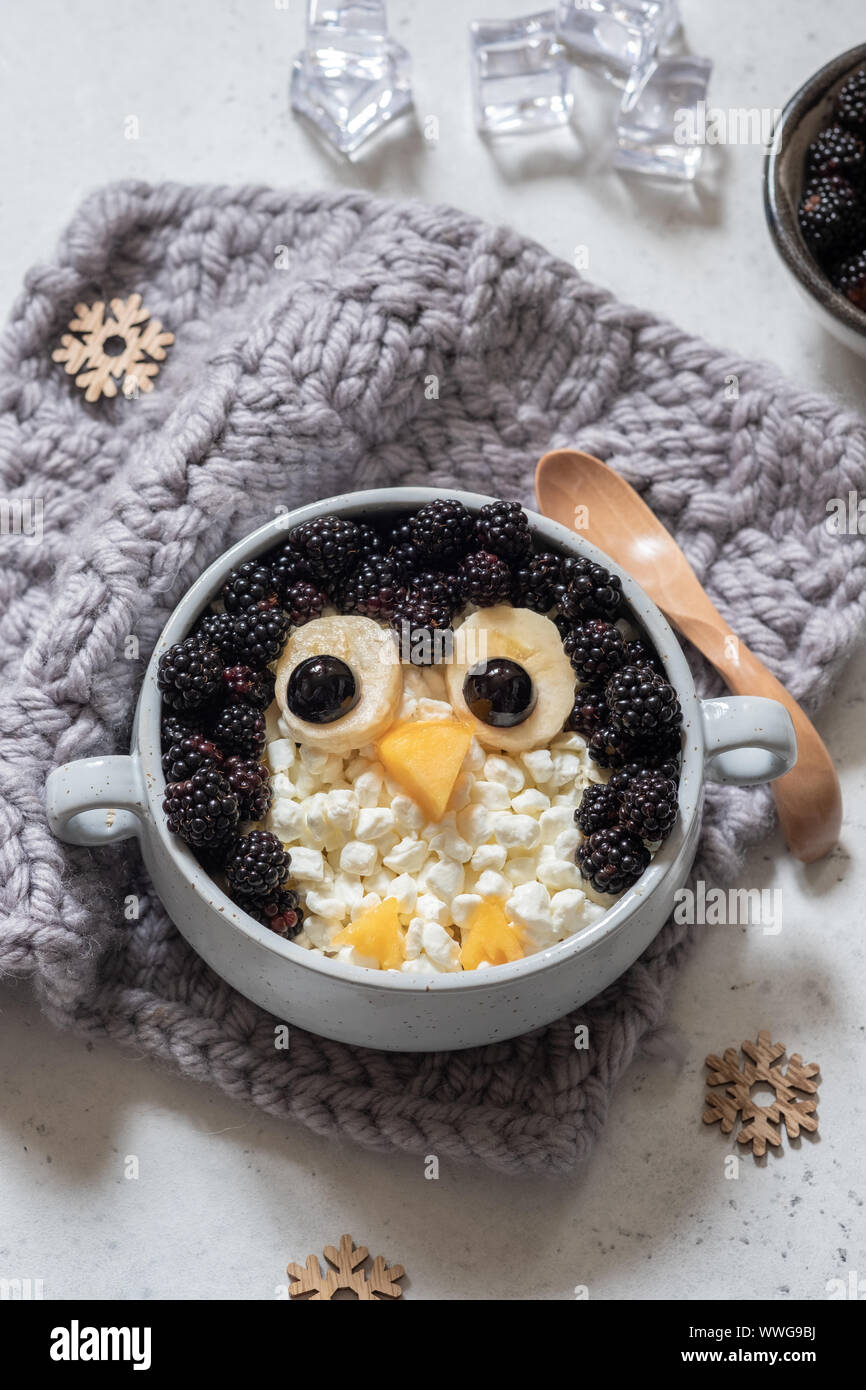 Funny kids breakfast porridge penguin with fresh berries Stock Photo ...