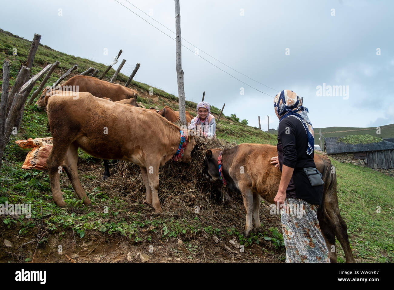 L whistle hi-res stock photography and images - Alamy
