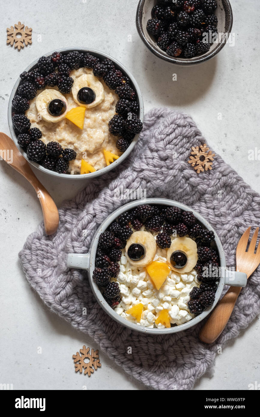 Funny kids breakfast porridge penguin with fresh berries Stock Photo ...