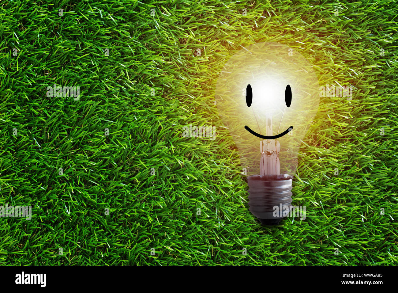 Happiness concept, smile and light bulb on green grass background ...