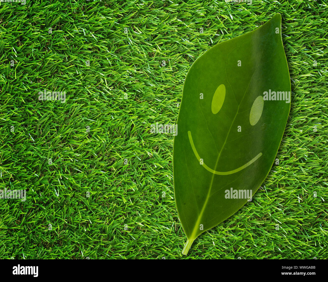 Happiness concept, leaf smile on green grass background, eco friendly ...