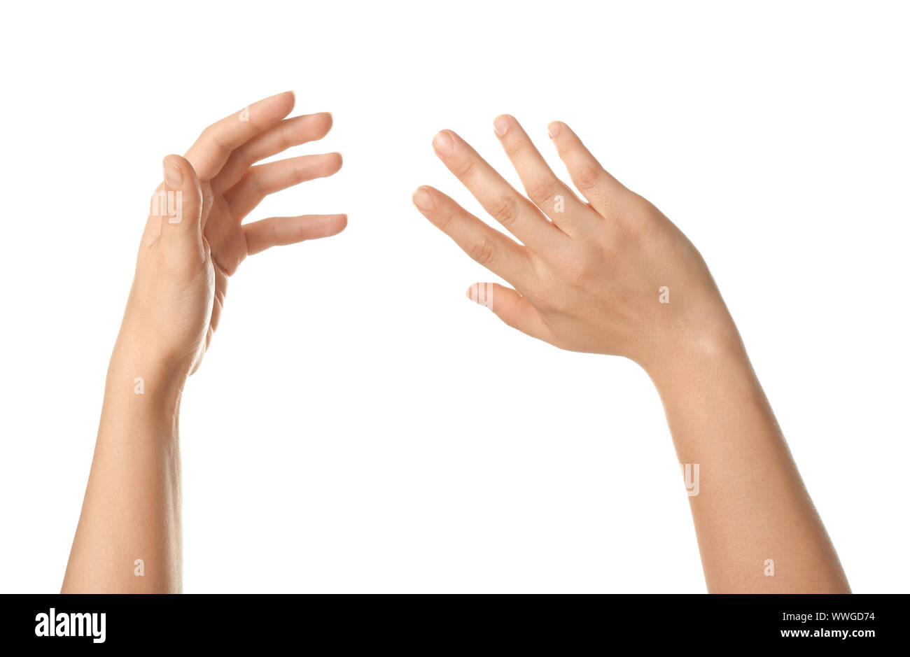 Beautiful female hands on white background Stock Photo - Alamy