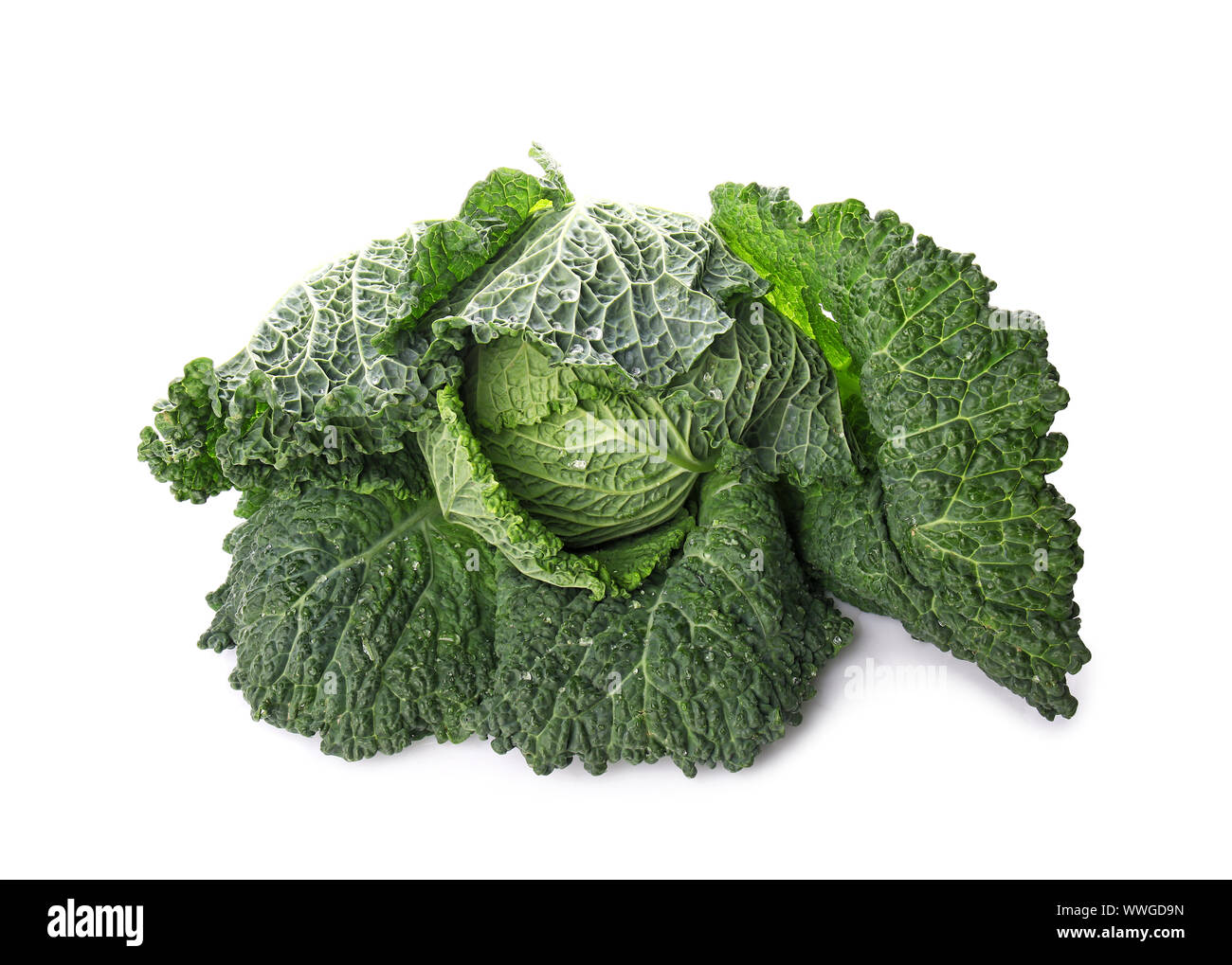 Tasty ripe cabbage on white background Stock Photo - Alamy