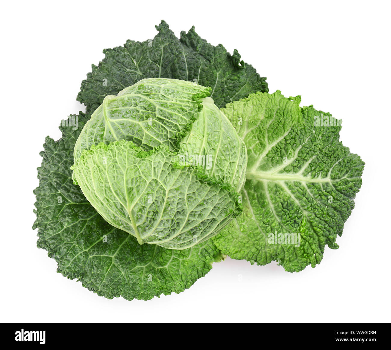 Tasty ripe cabbage on white background Stock Photo - Alamy