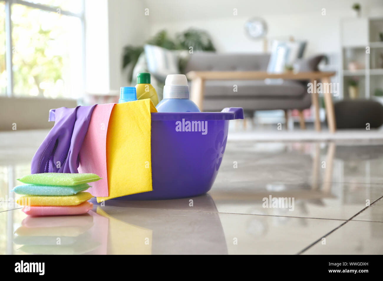 Set of cleaning supplies on floor in room Stock Photo - Alamy