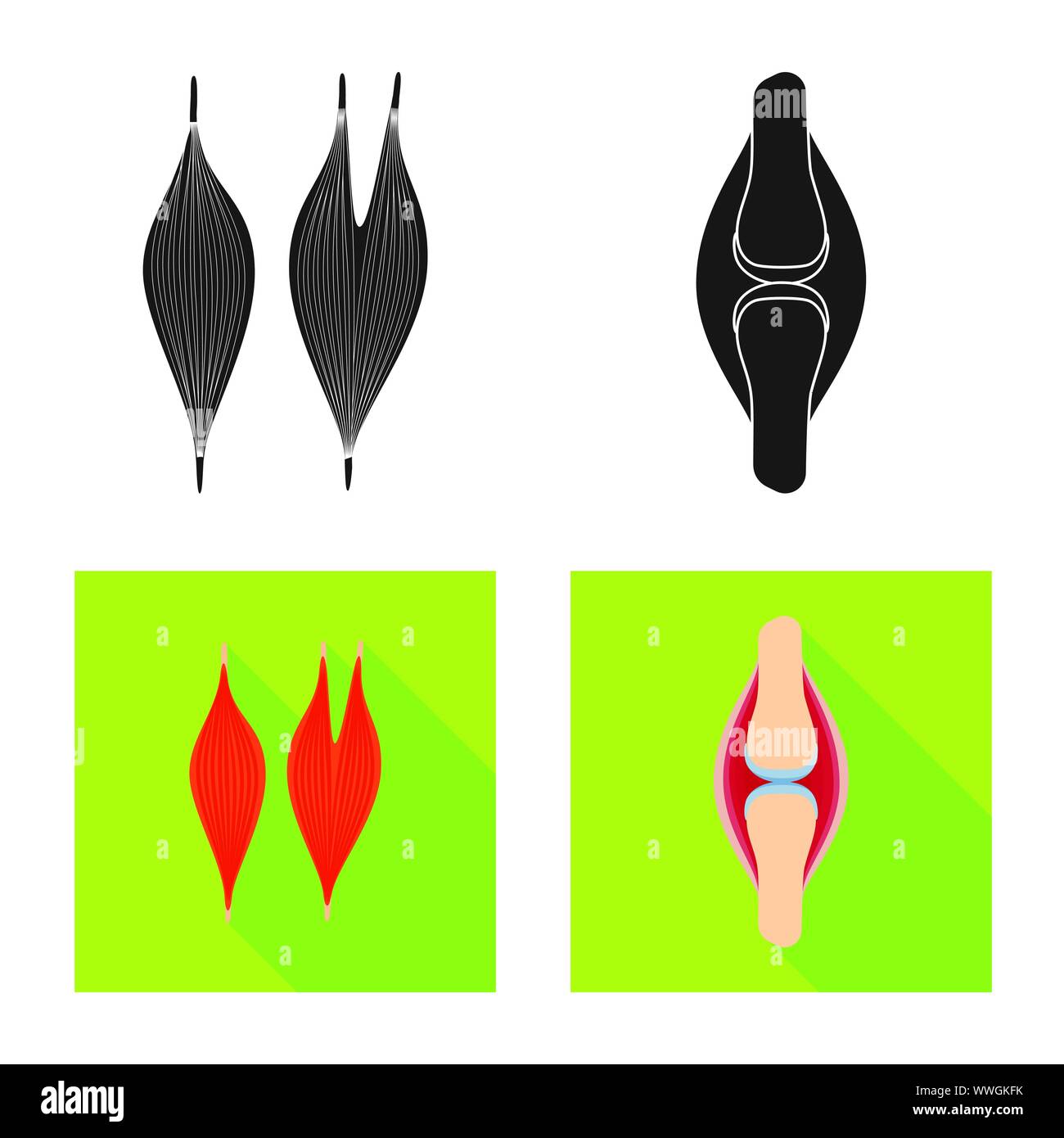 Vector Vectors Stock Vector Image & Art - Alamy