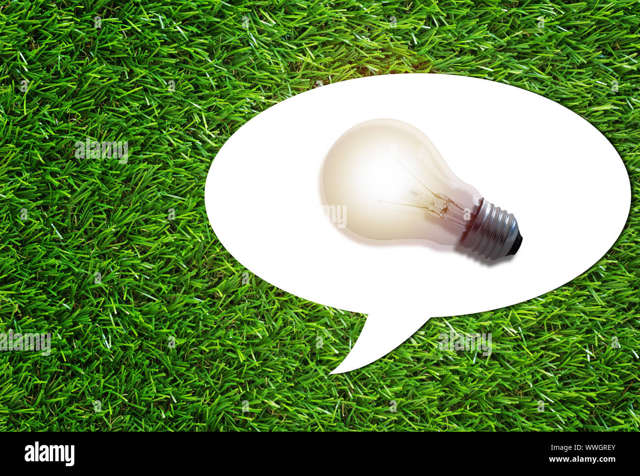 Idea concept, light bulb and white bubble on green grass background ...