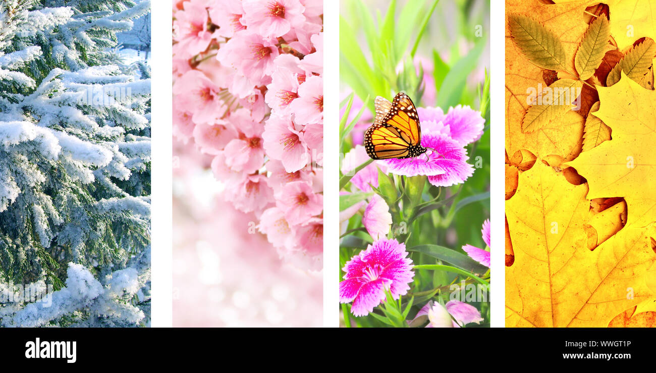 Four seasons of year. Set of vertical nature banners with winter ...