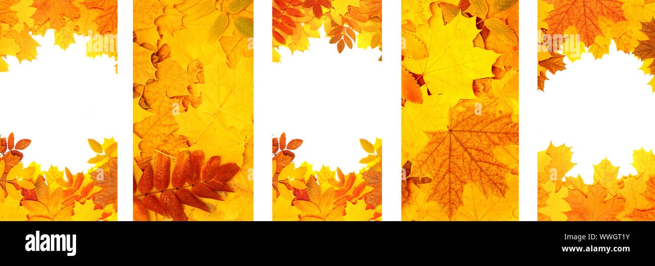 Set of vertical nature banners with autumn leaves of red, orange and ...