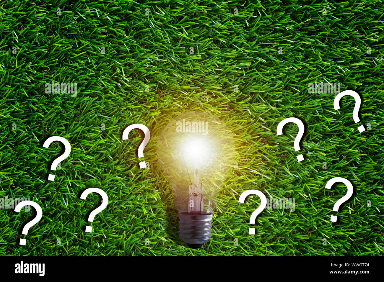 Idea concept, solution and problem, light bulb on green grass ...