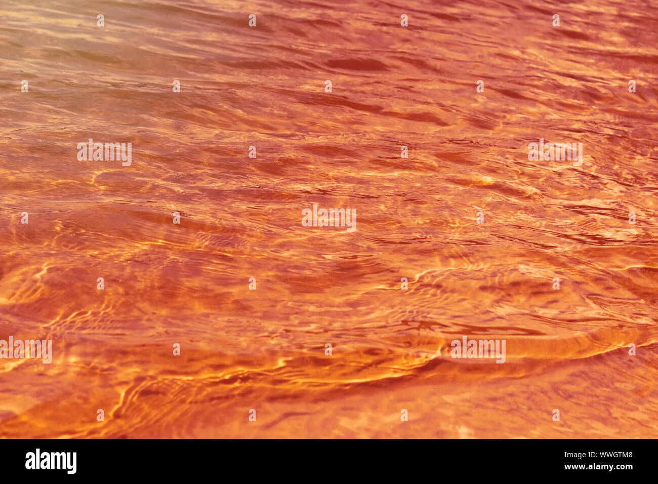 Beautiful texture of sea water on sunset. Water surface in sunset time ...