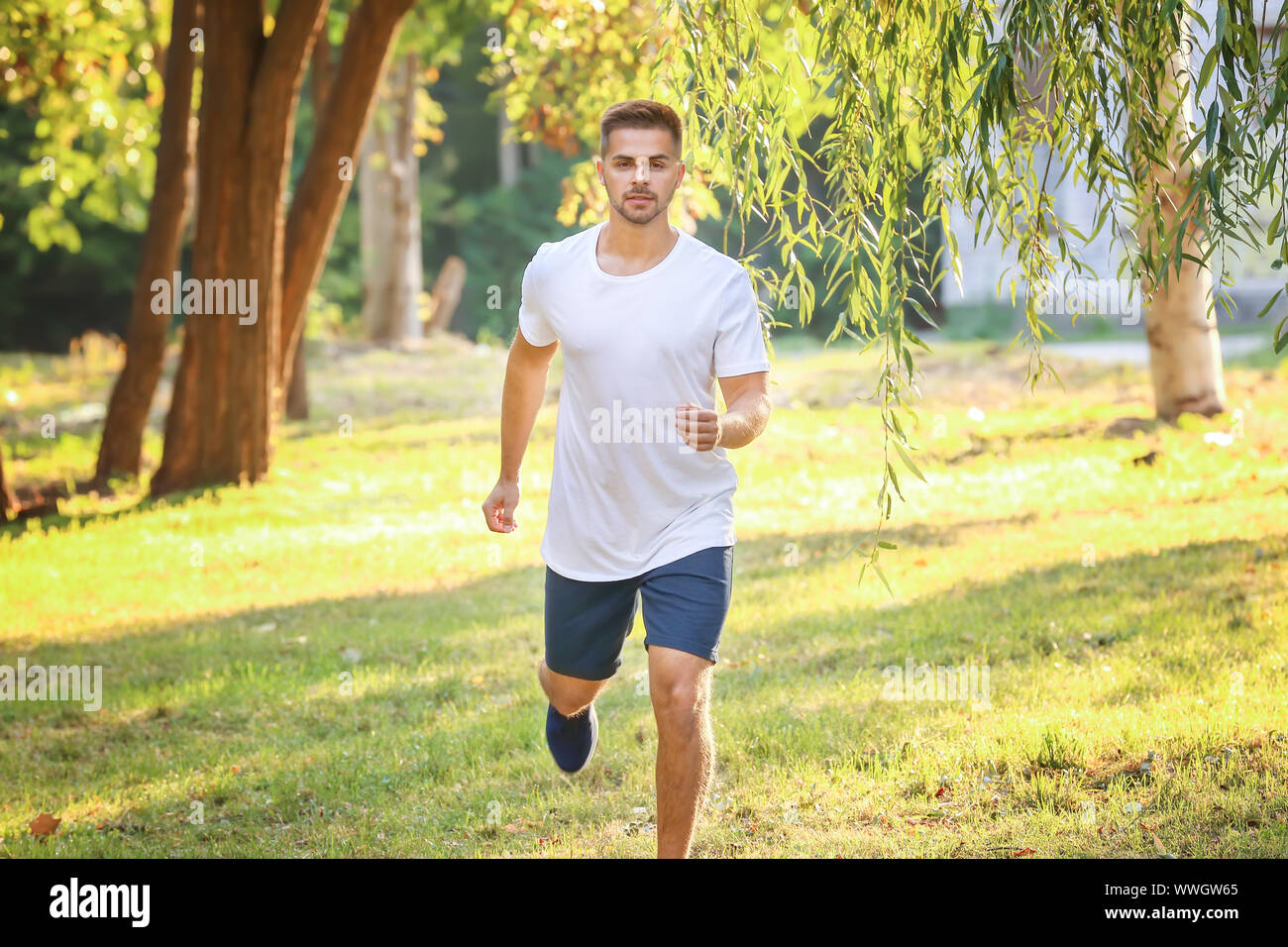 Handsome sporty man running in park Stock Photo - Alamy