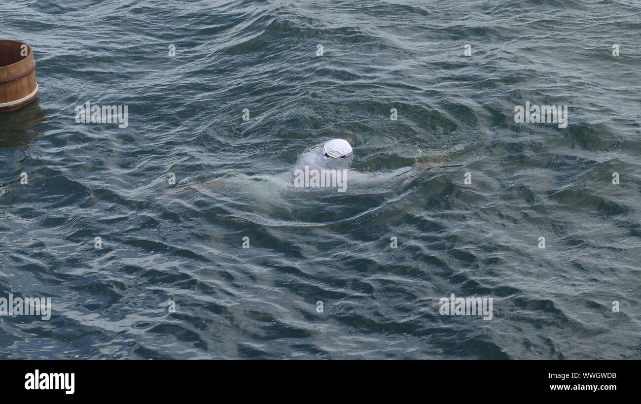 Ama pearl divers,Mikimoto,Japan Stock Photo - Alamy