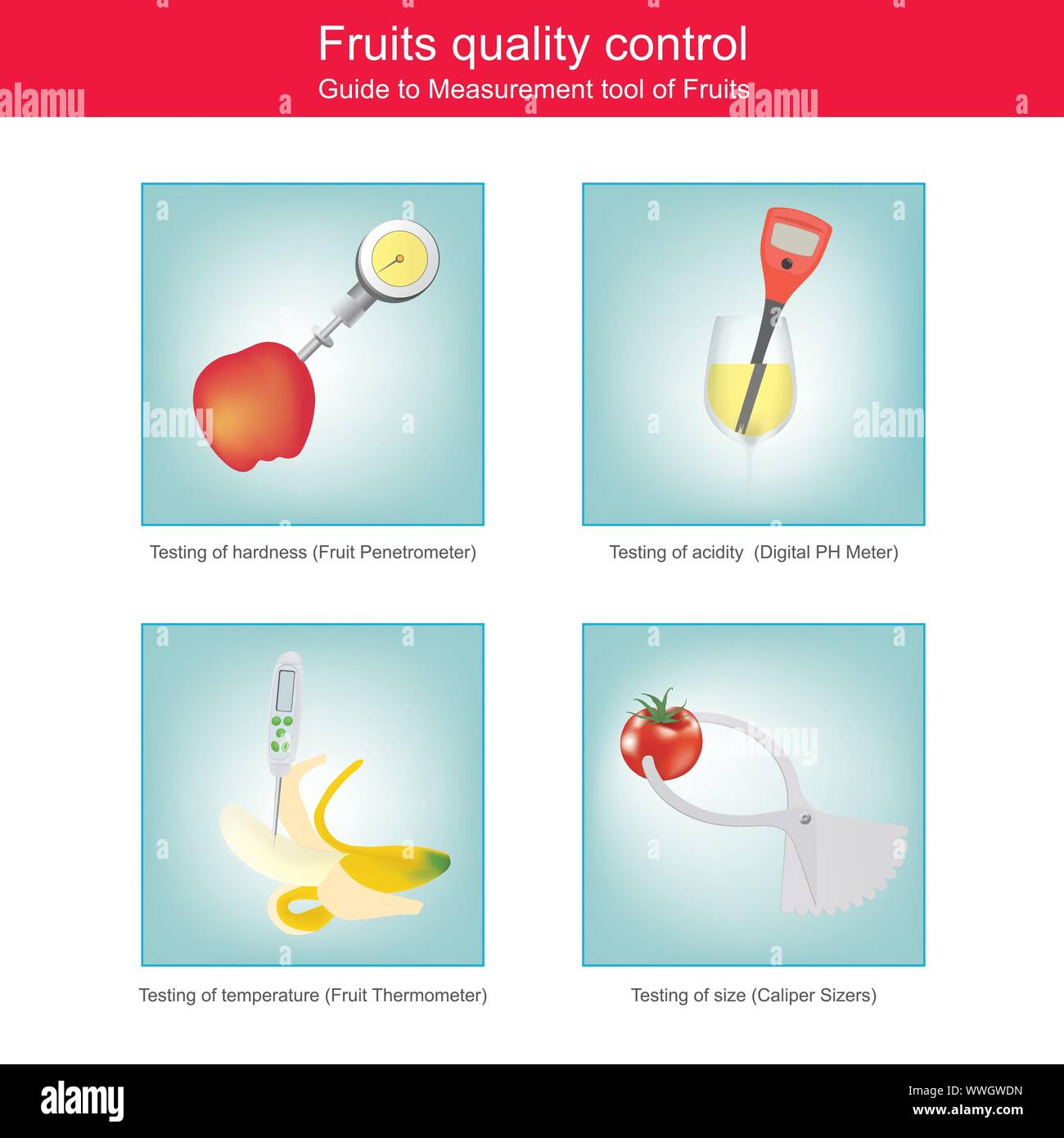 Food production quality check Stock Vector Images - Alamy