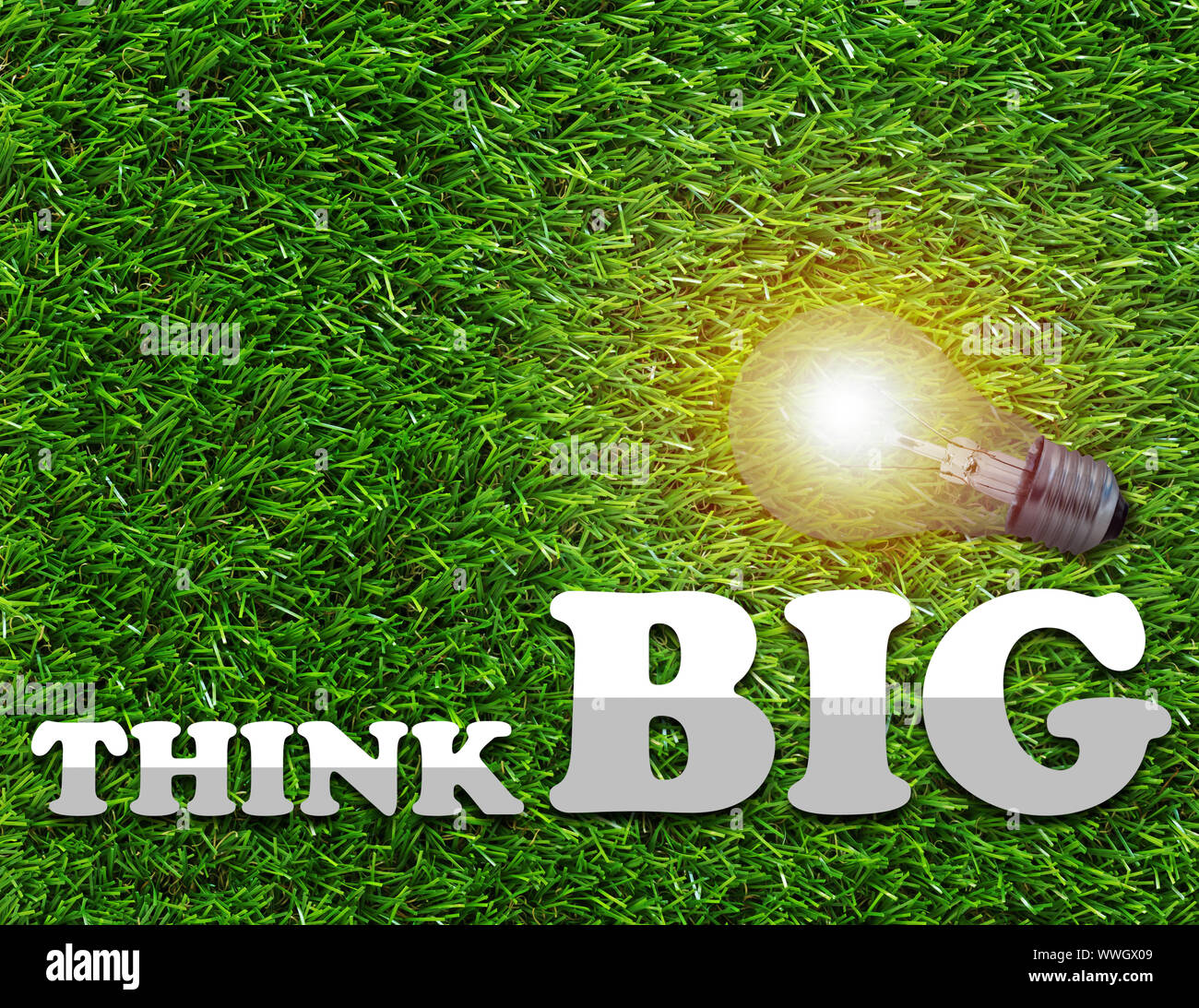 Think big concept, light bulb on green grass background Stock Photo - Alamy
