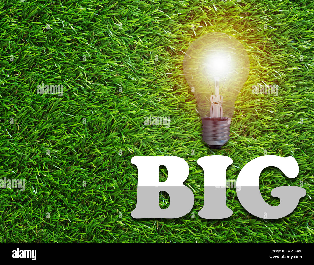 Think big concept, light bulb on green grass background Stock Photo - Alamy