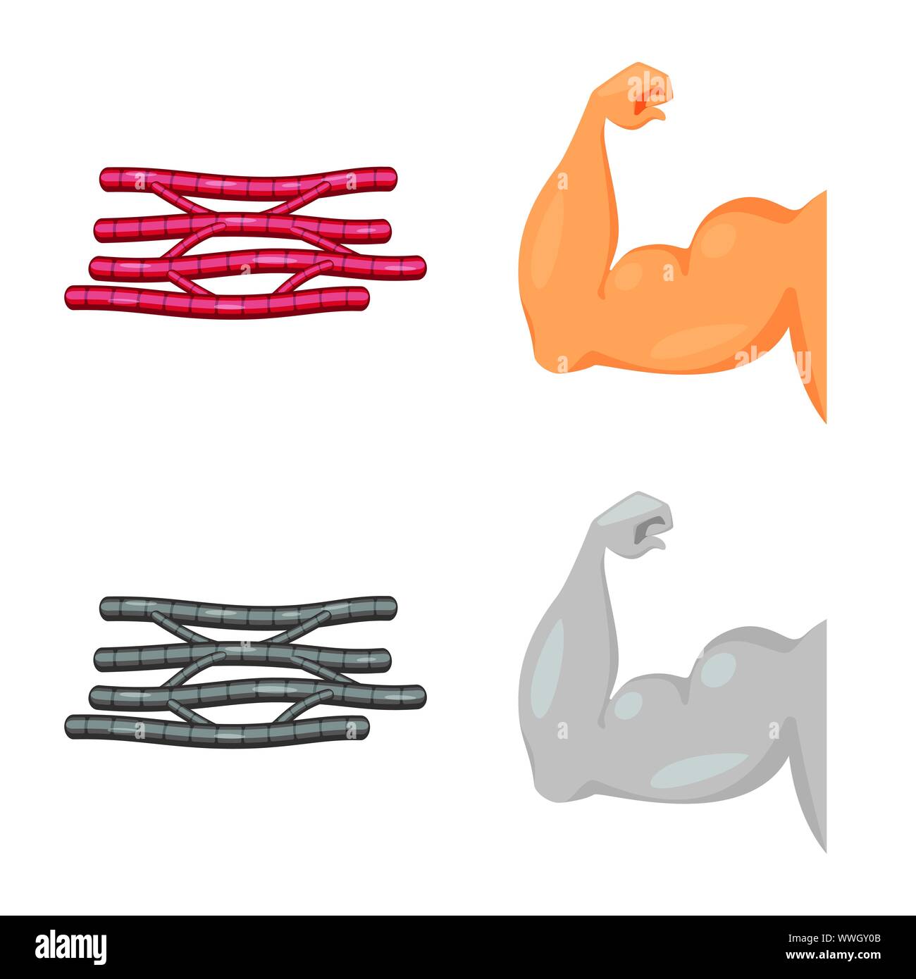 Vector design of fiber and muscular logo. Collection of fiber and body ...