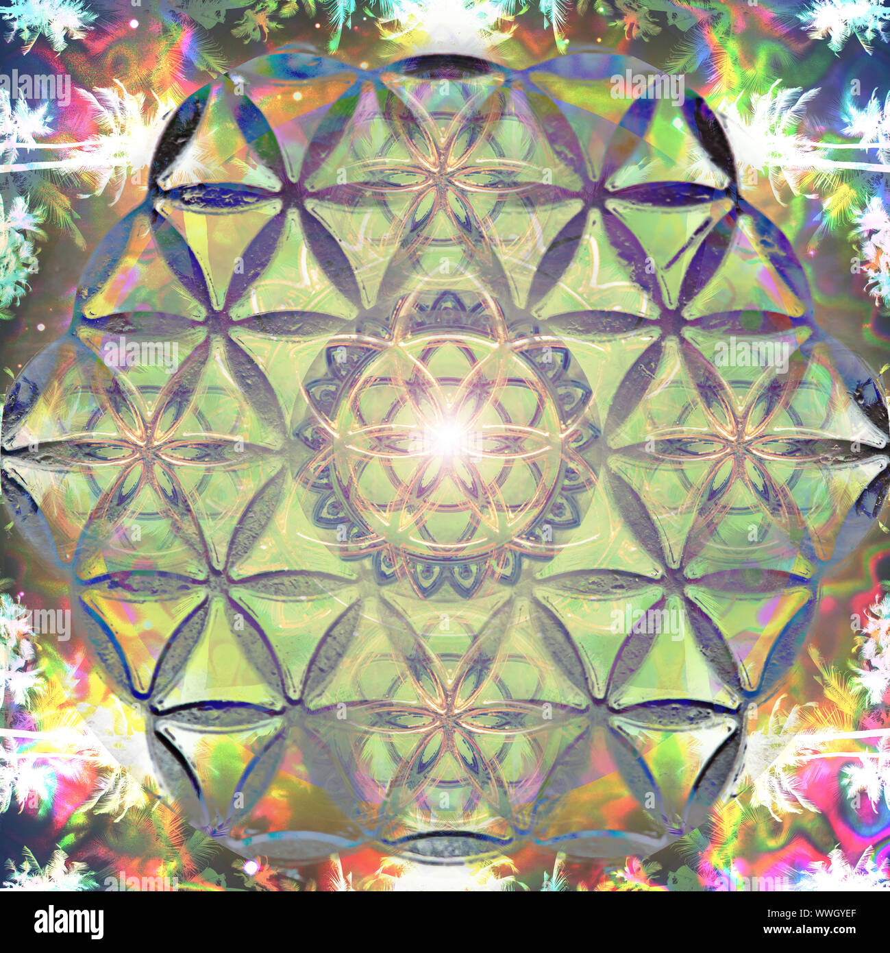 Abstract mandala flower of life pattern with palm trees detail Stock ...