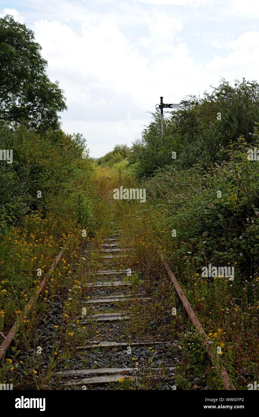 Overgrown Railway Track High Resolution Stock Photography and Images ...
