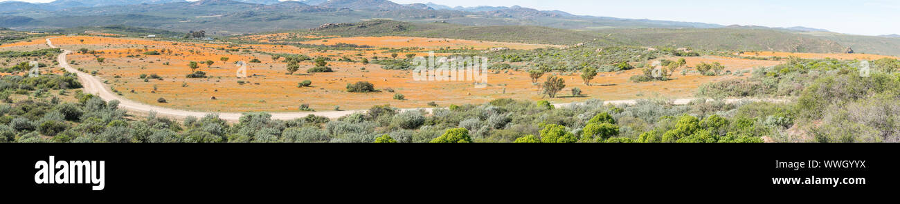 SKILPAD, SOUTH AFRICA - AUGUST 14, 2015: Panorama of Skilpad in the ...