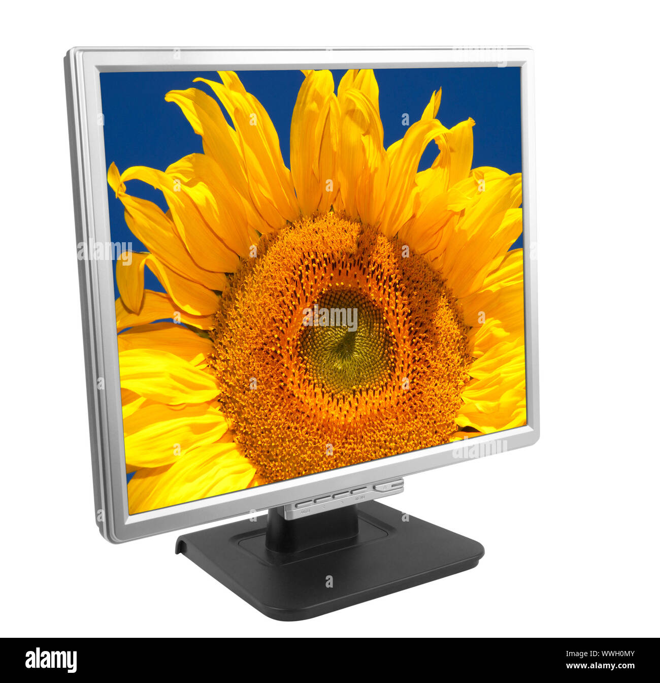 ps display with flower isolated on white background, made from my ...