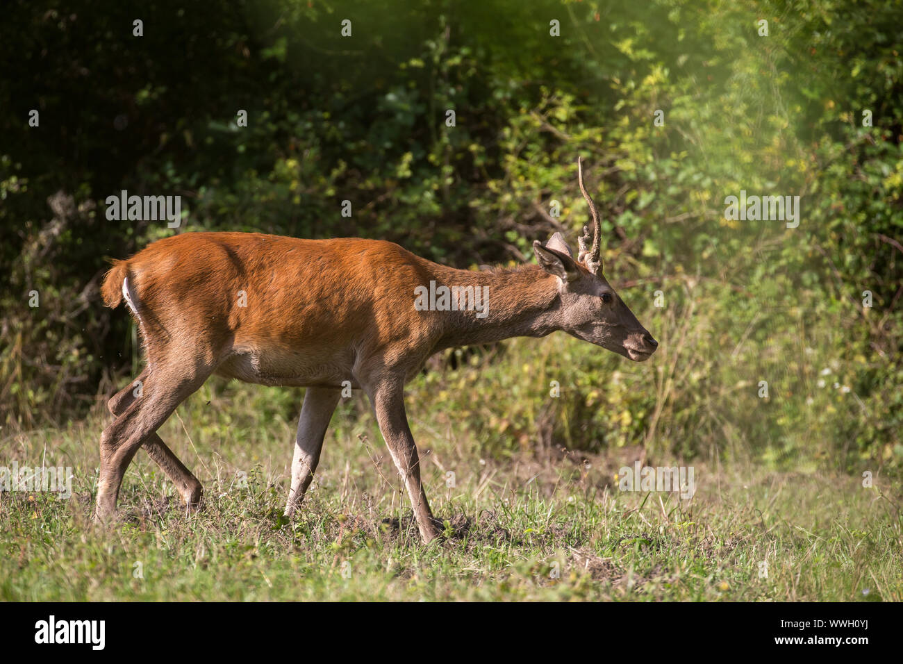Strange nature hi-res stock photography and images - Alamy
