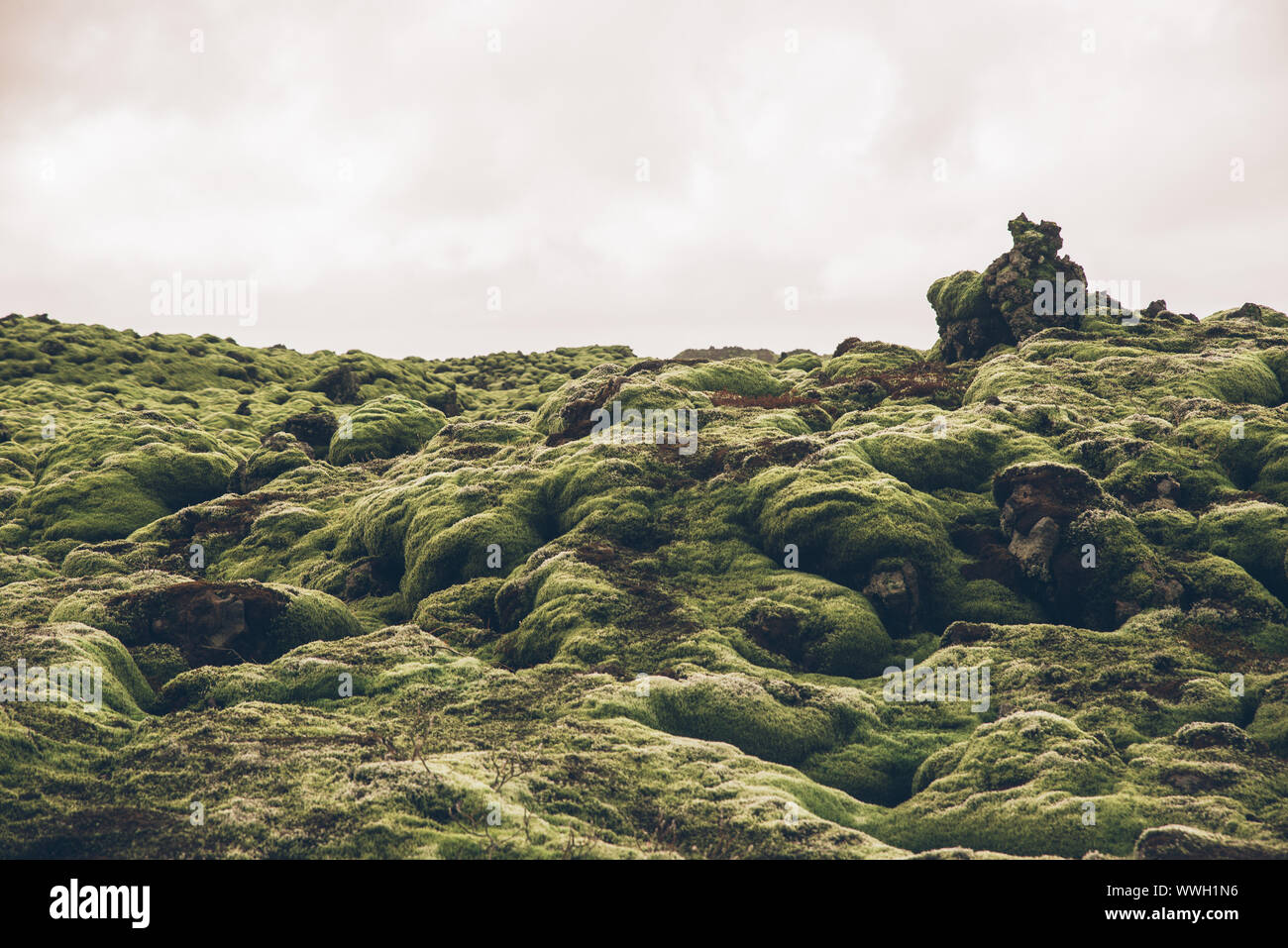 Icelandic lava fields Stock Photo - Alamy
