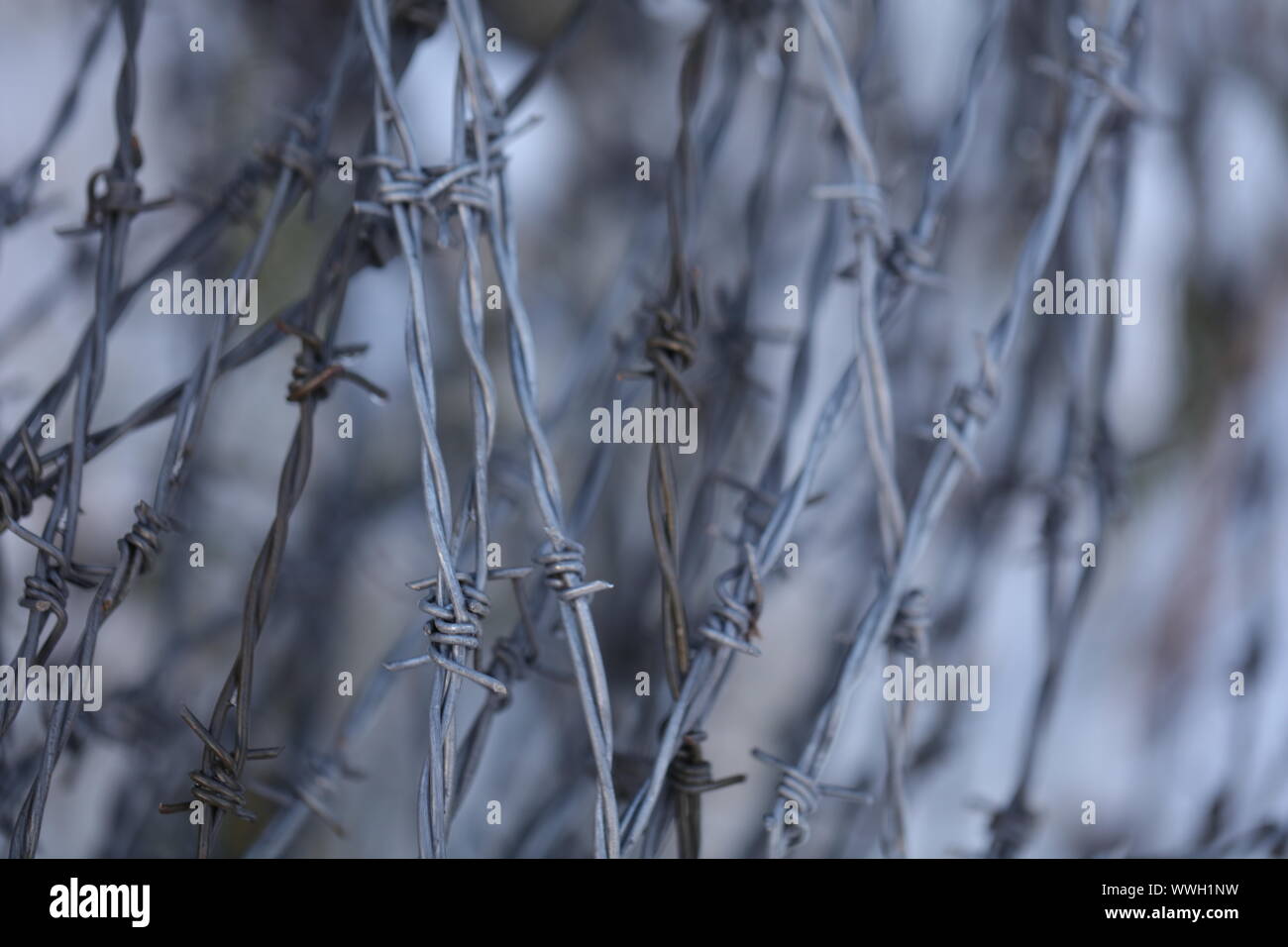 Spike Wire High Resolution Stock Photography and Images - Alamy