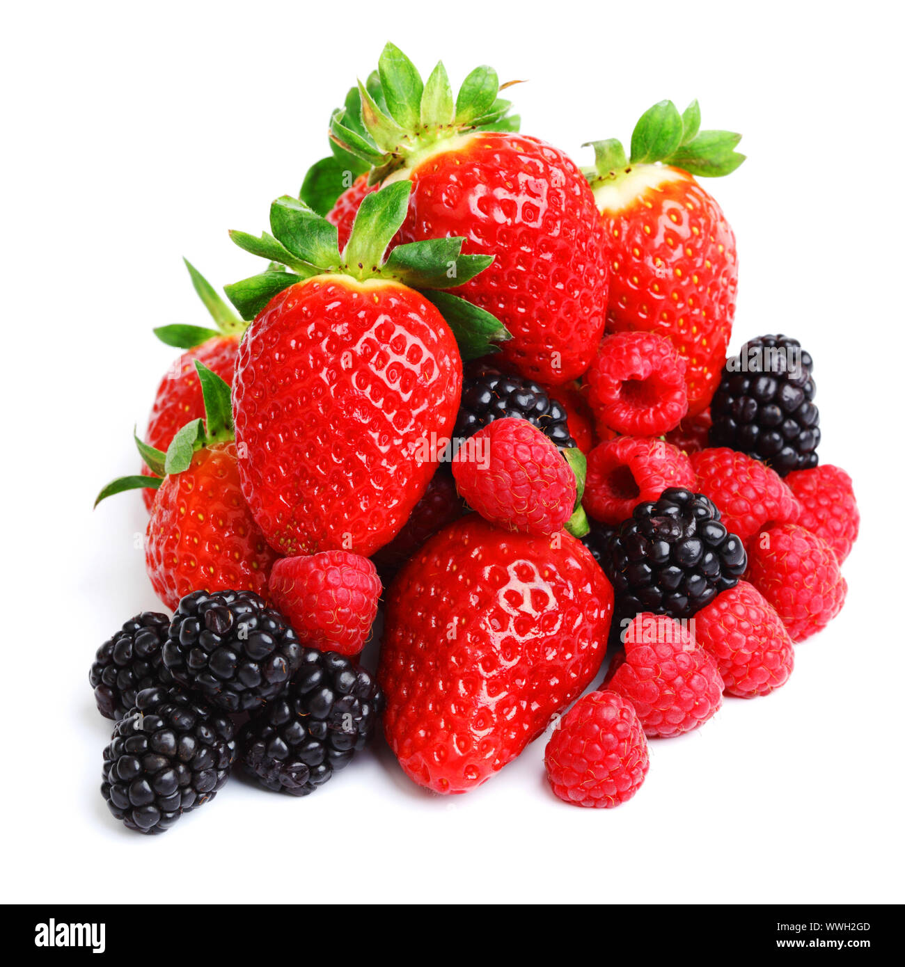 Raspberry cultivation Cut Out Stock Images & Pictures - Alamy