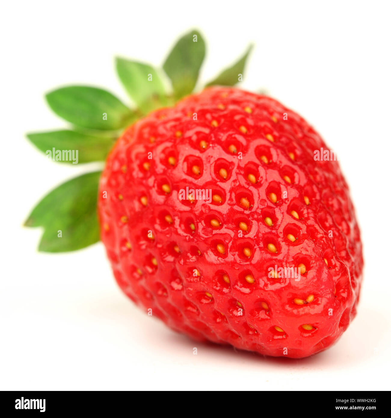 one strawberry isolated on white Stock Photo - Alamy