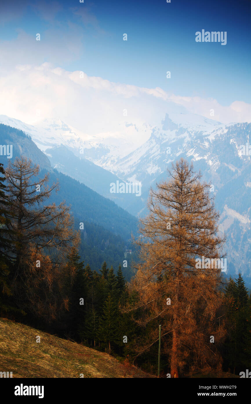spring alps mountains scene background Stock Photo - Alamy
