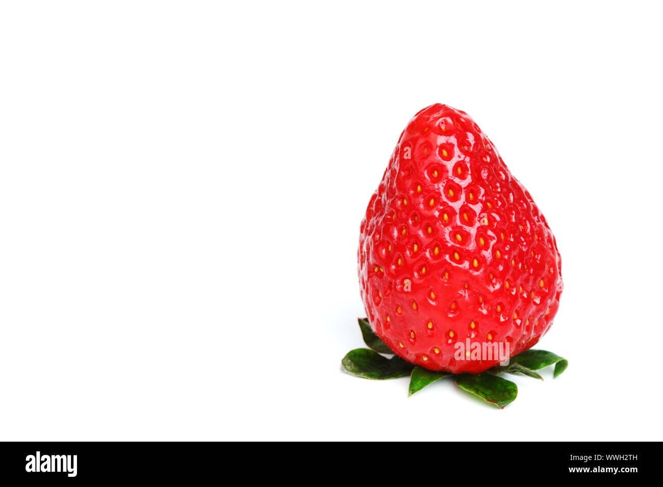 one strawberry isolated Stock Photo - Alamy