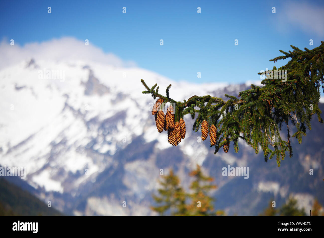 spring alps mountains scene background Stock Photo - Alamy