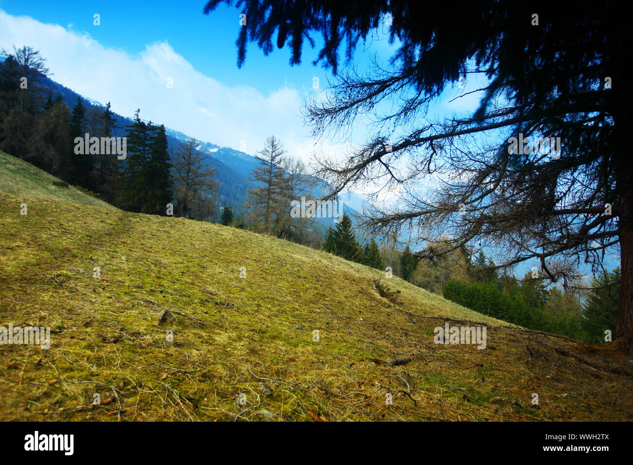 spring alps mountains scene background Stock Photo - Alamy