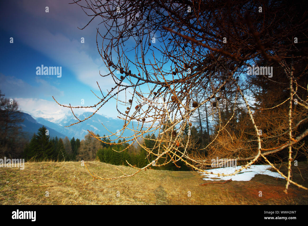 spring alps mountains scene background Stock Photo - Alamy