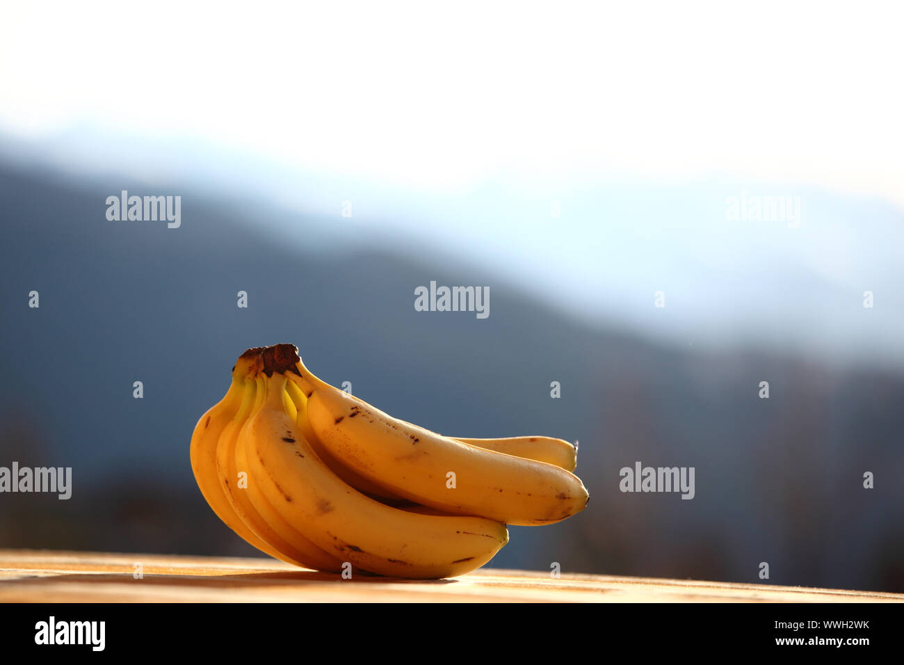 fresh bananas in sunrise light Stock Photo - Alamy