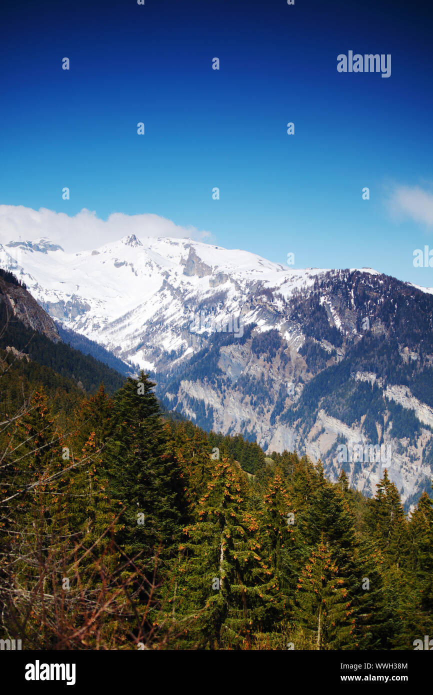 spring alps mountains scene background Stock Photo - Alamy
