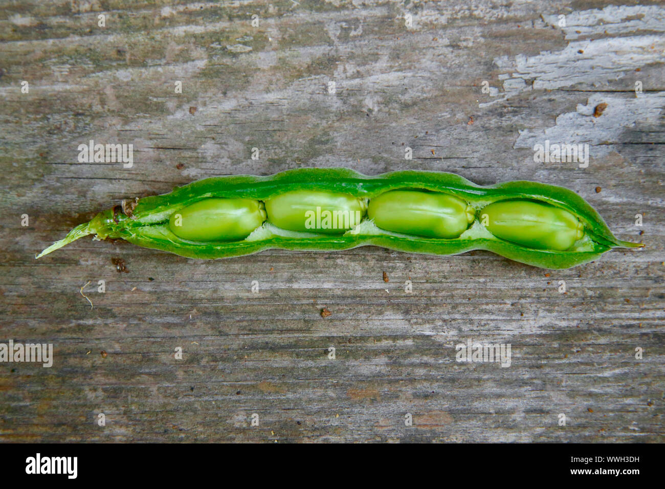 Pretty beans hi-res stock photography and images - Alamy